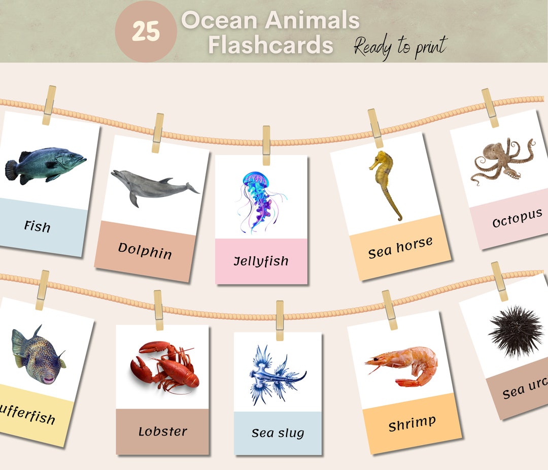 Ocean Animals Flashcards, Preschool Learning Cards, Homeschool ...
