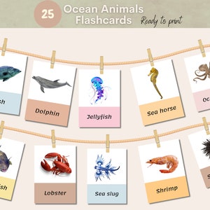 Ocean Animals Flashcards, Preschool Learning Cards, Homeschool ...