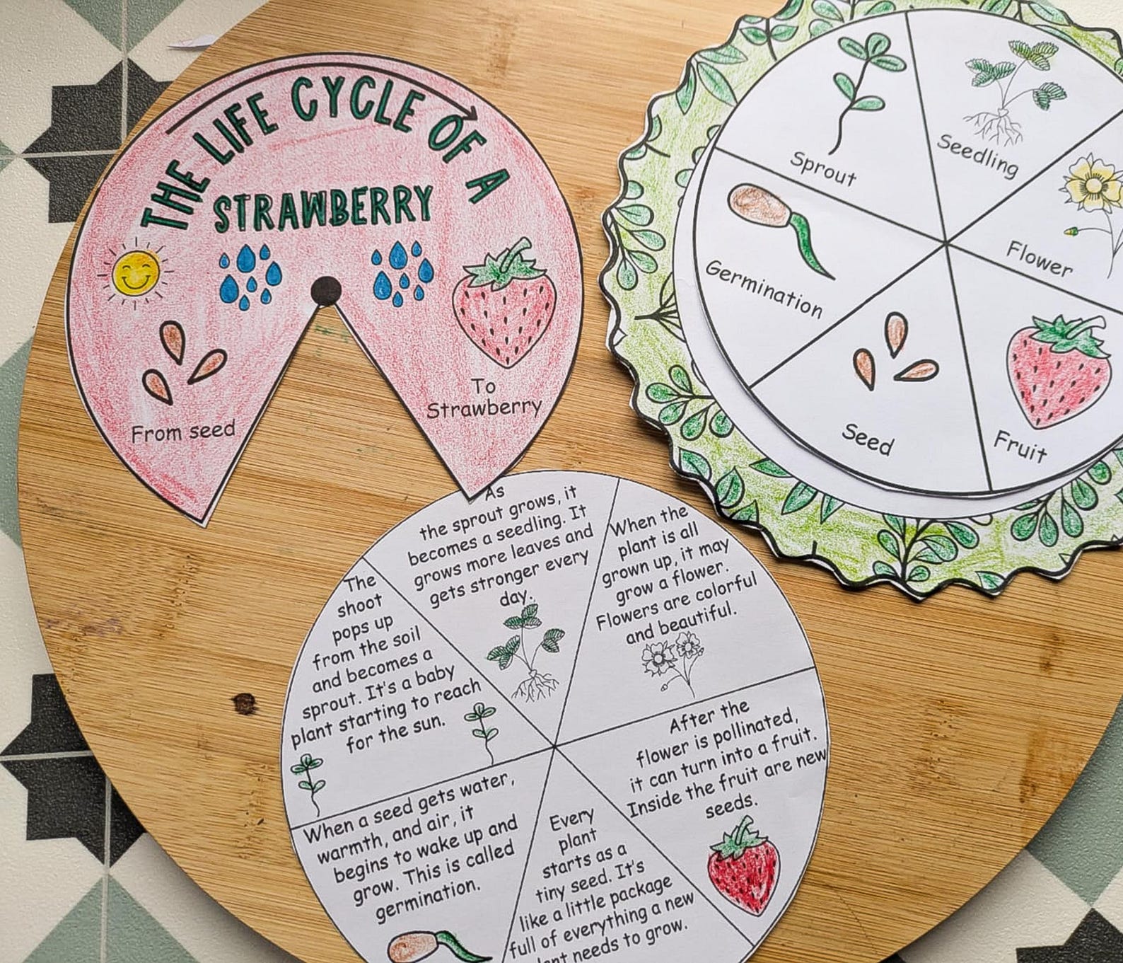 Life Cycle of a Strawberry, Homeschool Science Plant Unit Activity ...
