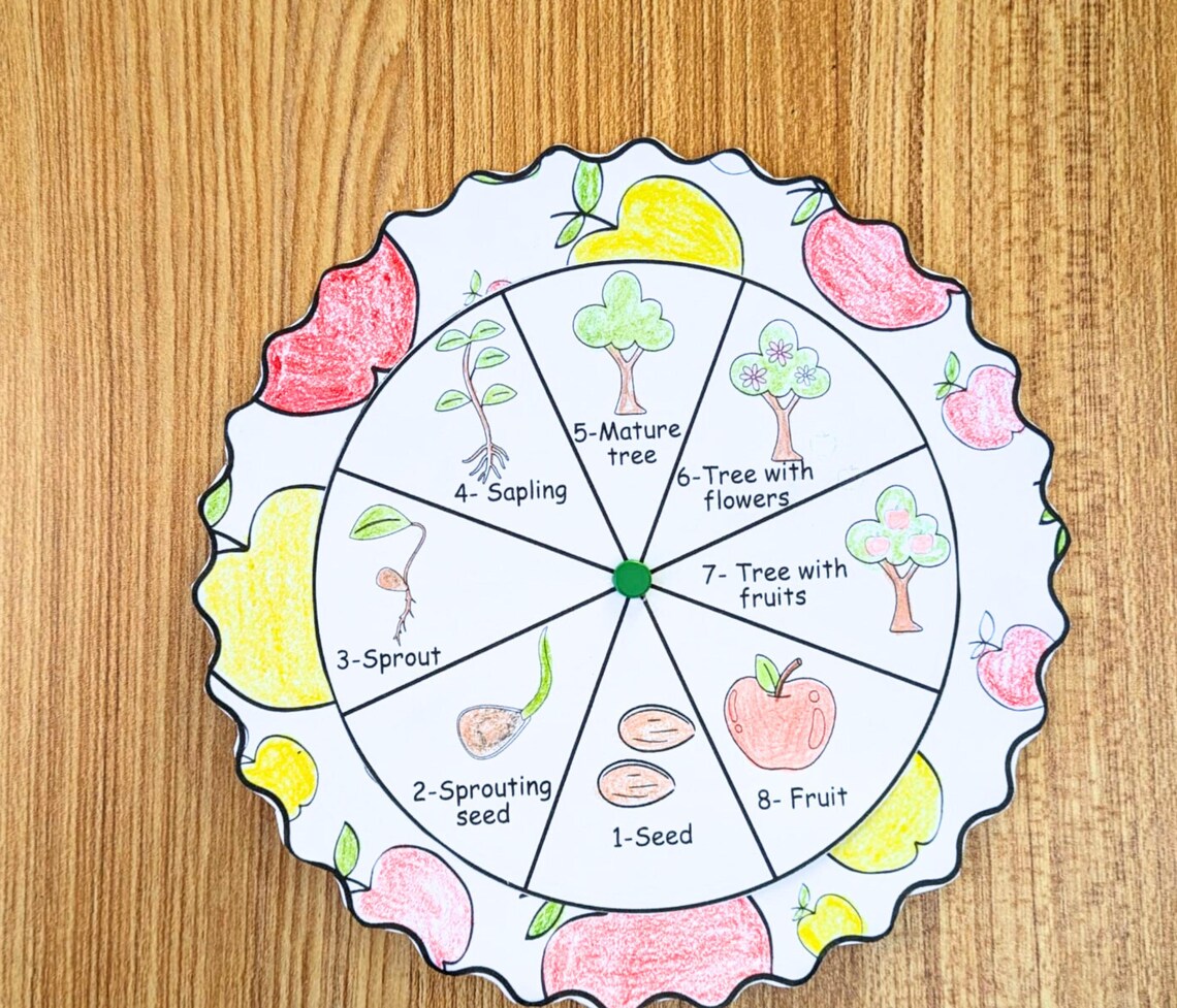 Life Cycle of an Apple Spinner Wheel Kids, Homeschool Science Unit ...