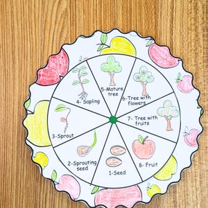 Life Cycle of an Apple Spinner Wheel Kids, Homeschool Science Unit ...