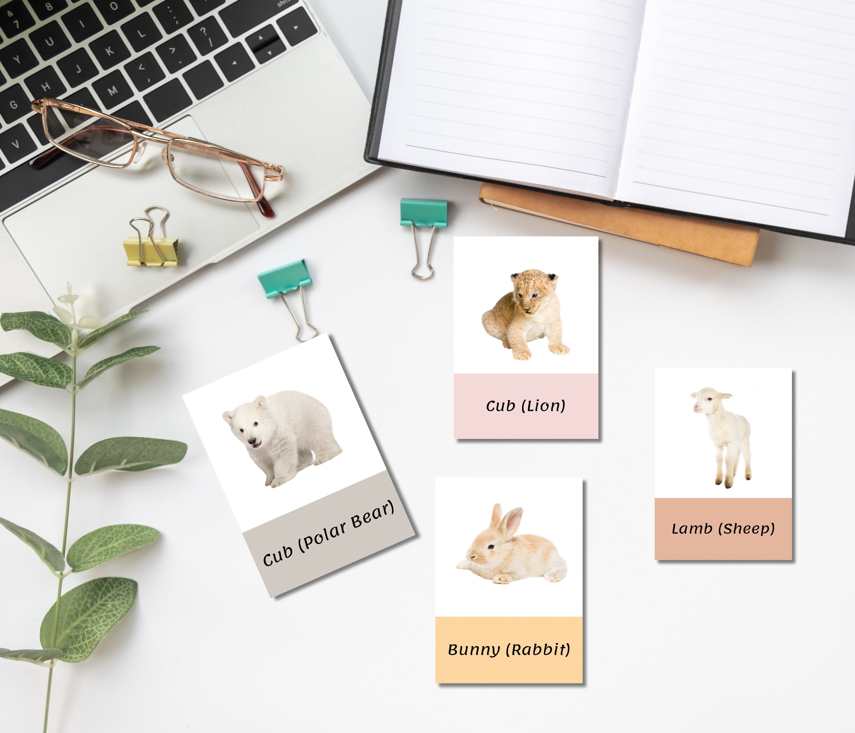 Baby Animal Flashcards, 3 Part Animal Cards, Real Animal Flashcards ...