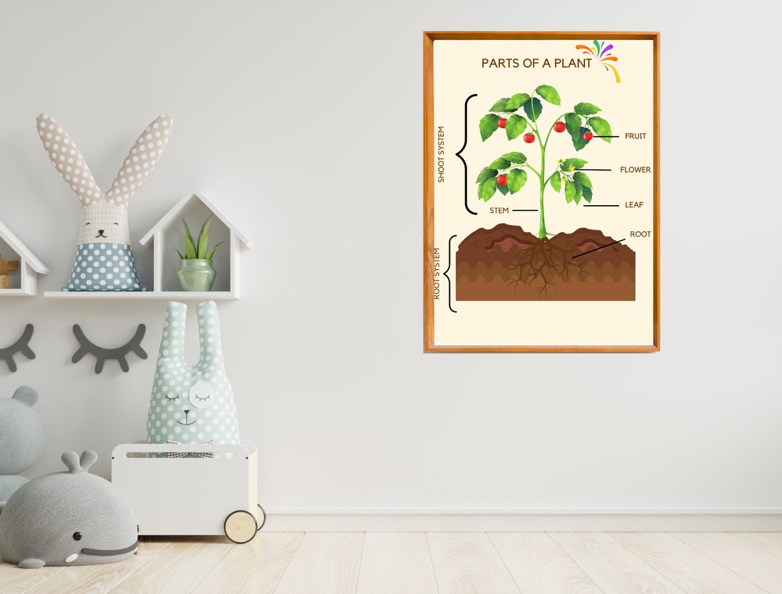 Parts of a Plant Educational Poster for Toddlers, Nature Homeschool ...