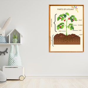 Parts of a Plant Educational Poster for Toddlers, Nature Homeschool ...