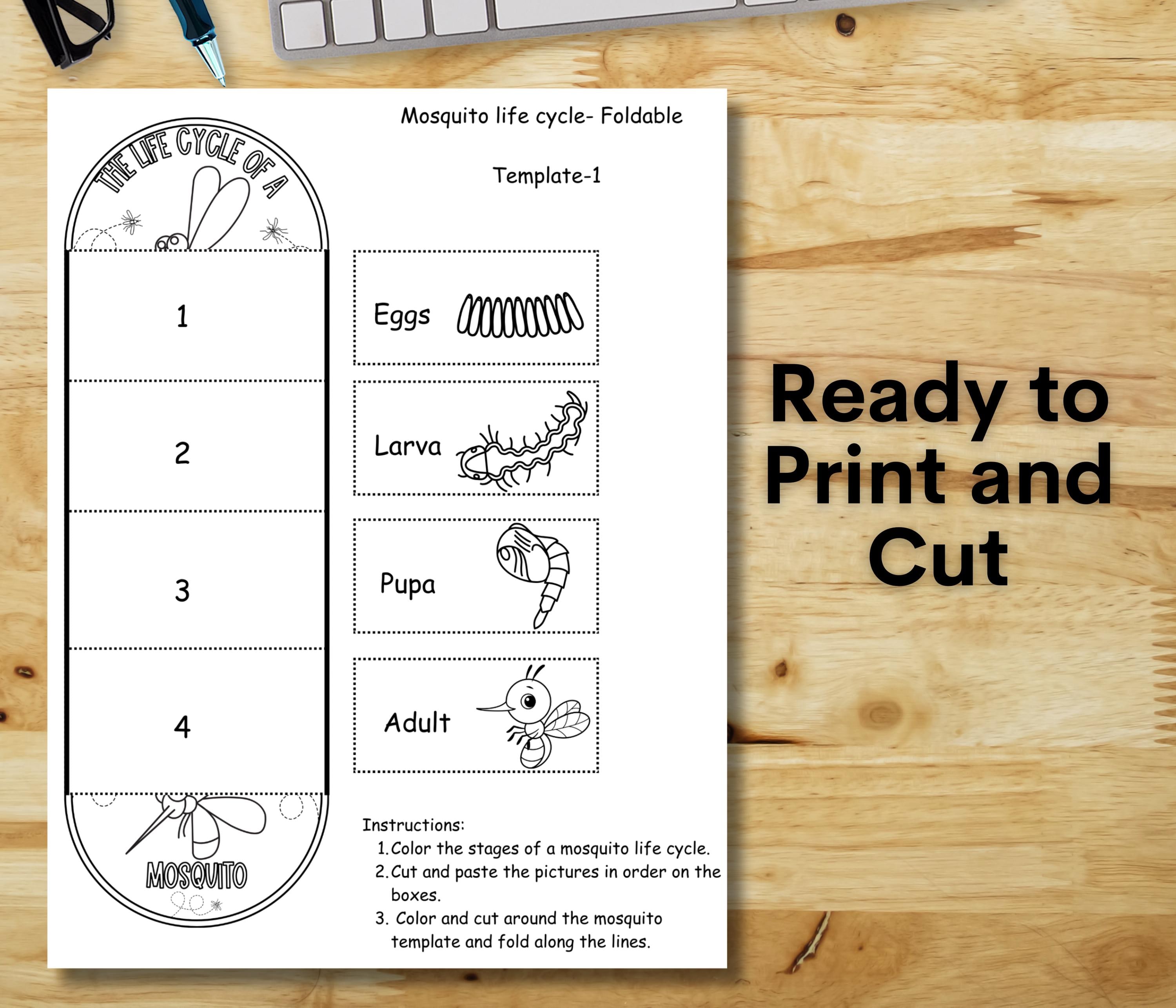 Life Cycle of a Mosquito Foldable Activity, Homeschool Science Unit ...