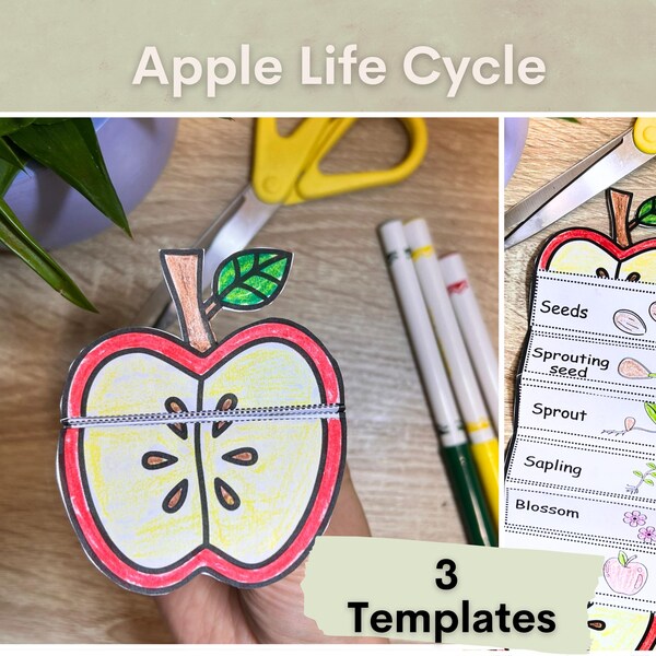 Life Cycle Puzzle - Etsy