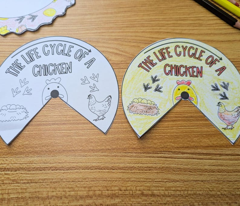 Life Cycle of a Chicken Wheel, Homeschool Science Unit Study ...