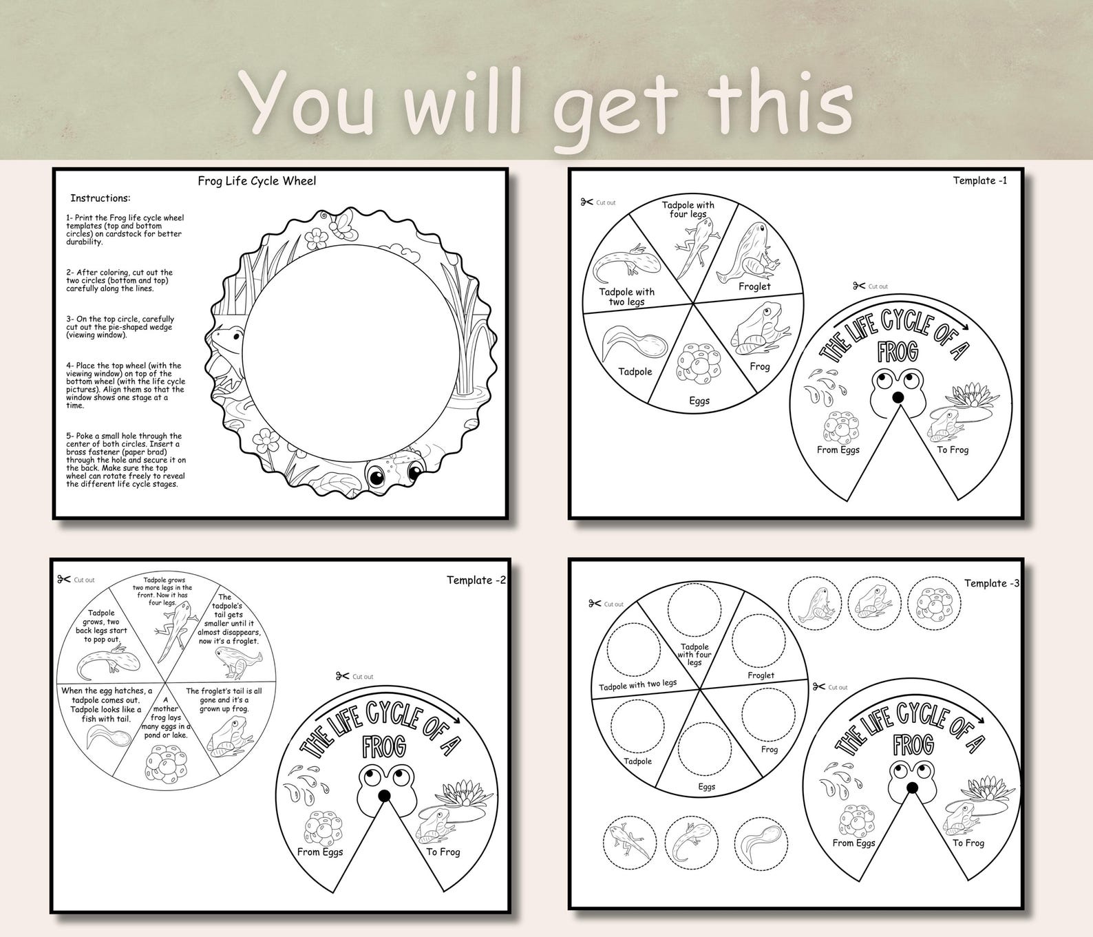 Life Cycle of a Frog Wheel, Homeschool Science Unit Activity, Sequence ...