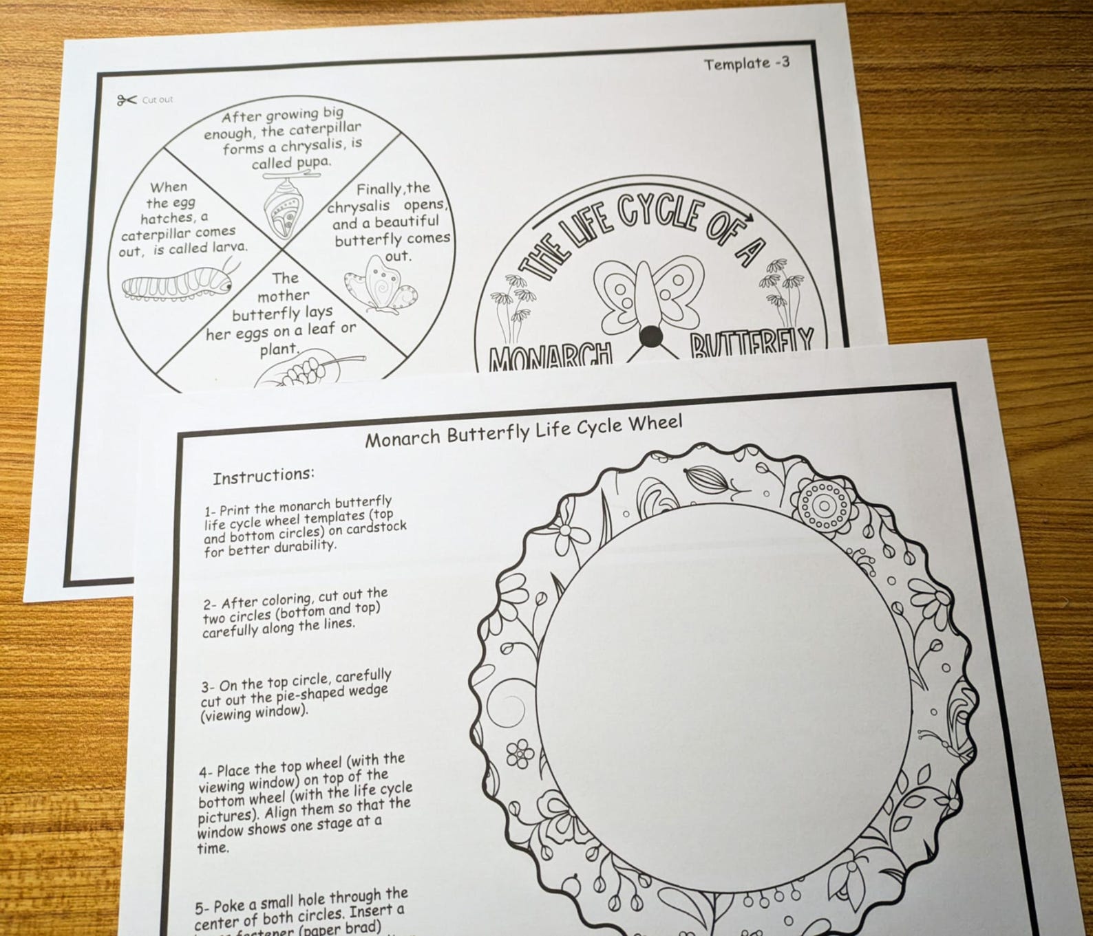 Life Cycle of a Monarch Butterfly, Homeschool Science Curriculum ...