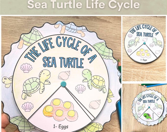 Life Cycle of a Chicken Wheel, Homeschool Science Unit Study ...