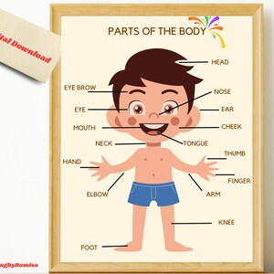Body Parts Poster, Educational Posters for Toddlers, Printable Wallart ...