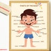 Body Parts Poster, Educational Posters for Toddlers, Printable Wallart ...