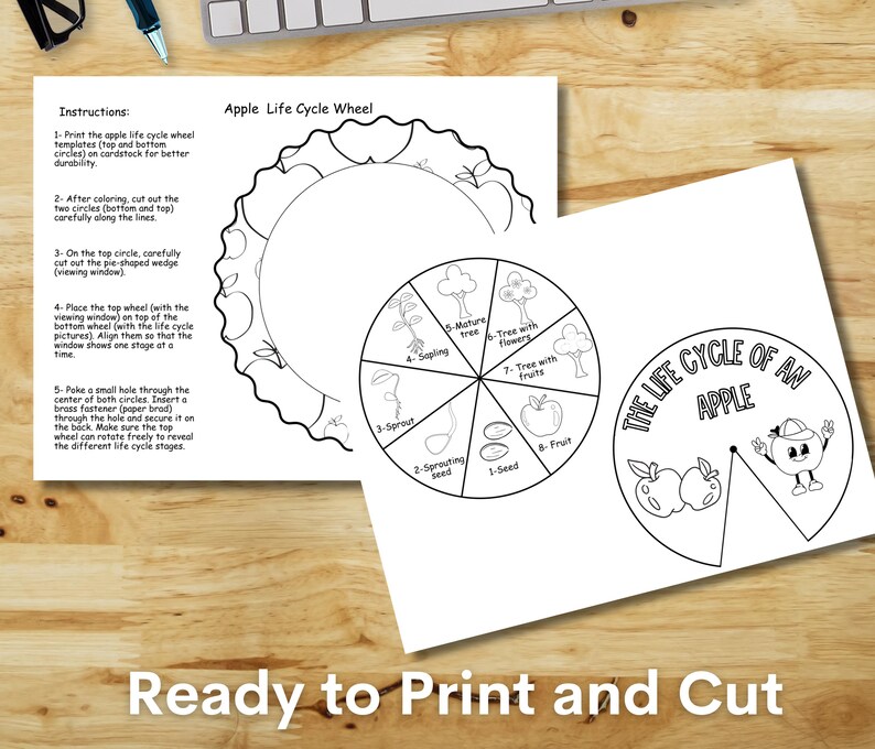 Life Cycle of an Apple Spinner Wheel Kids, Homeschool Science Unit ...