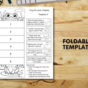 Frog Life Cycle Foldable Activity, Homeschool Science Unit Activity ...