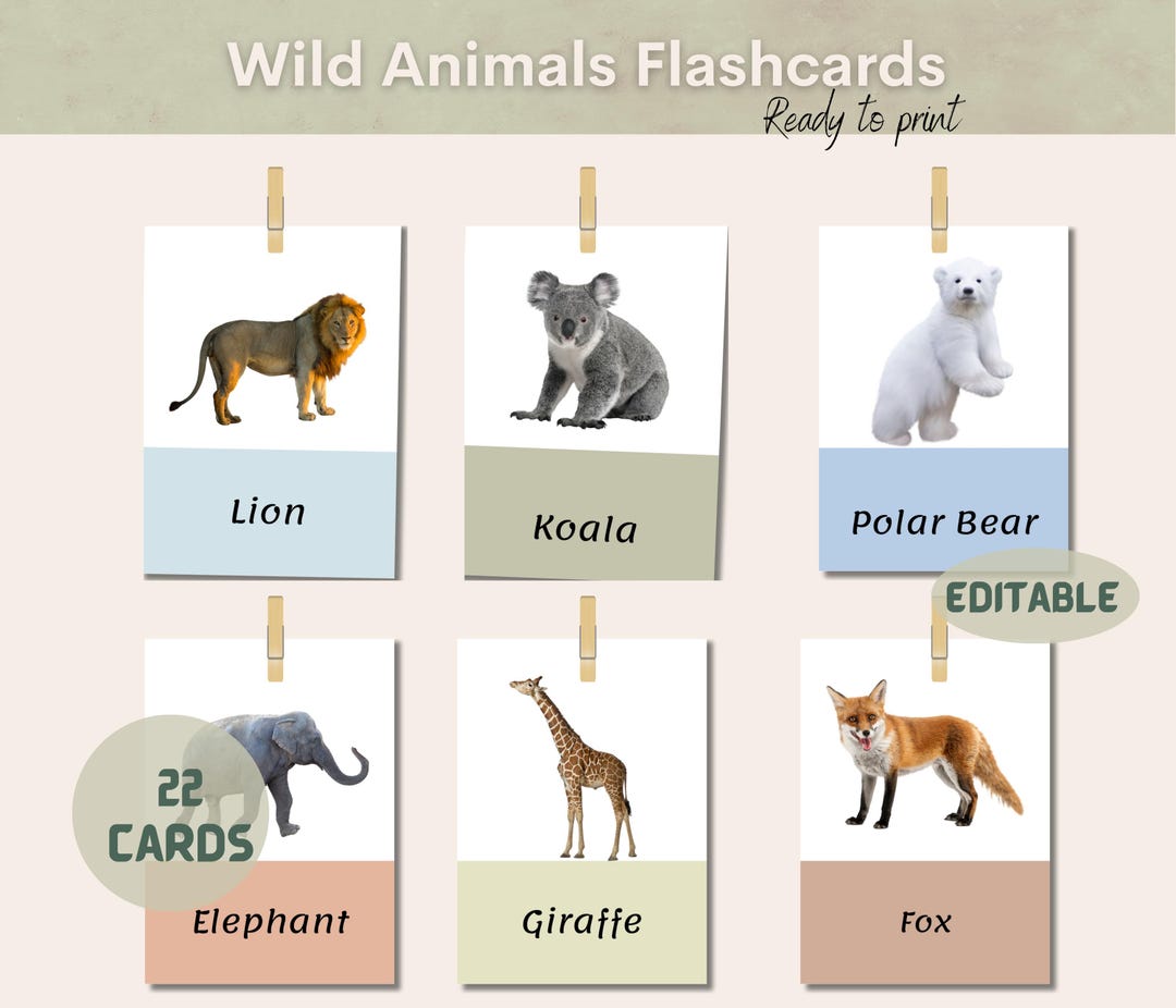 Wild Animals Flashcards, 3-part Animal Cards, Editable Flashcards for ...