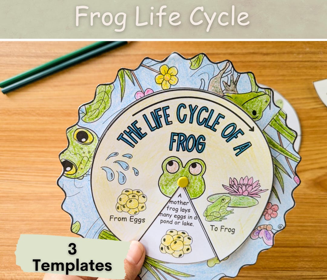 Life Cycle of a Frog Wheel, Homeschool Science Unit Activity, Sequence ...