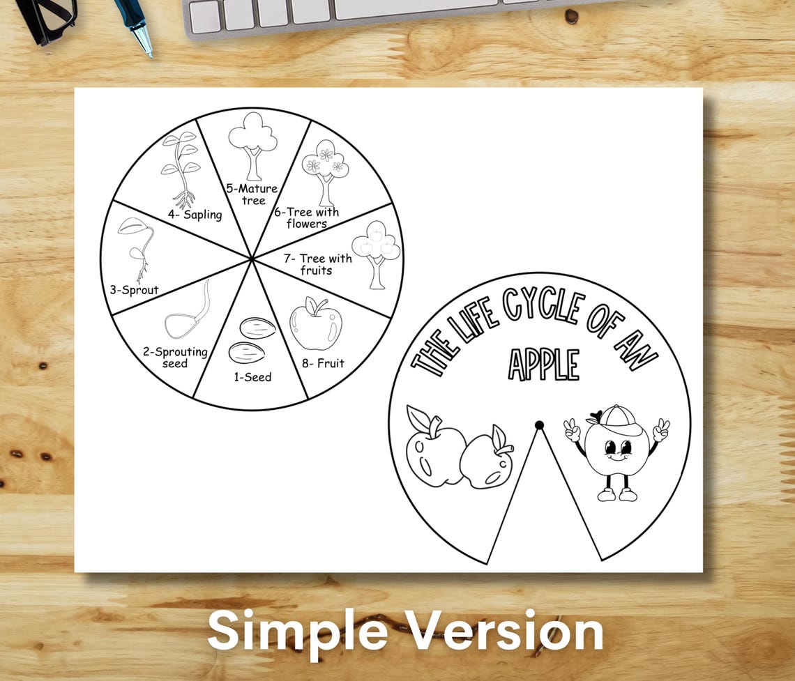 Life Cycle of an Apple Spinner Wheel Kids, Homeschool Science Unit ...