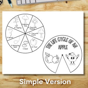 Life Cycle of an Apple Spinner Wheel Kids, Homeschool Science Unit ...