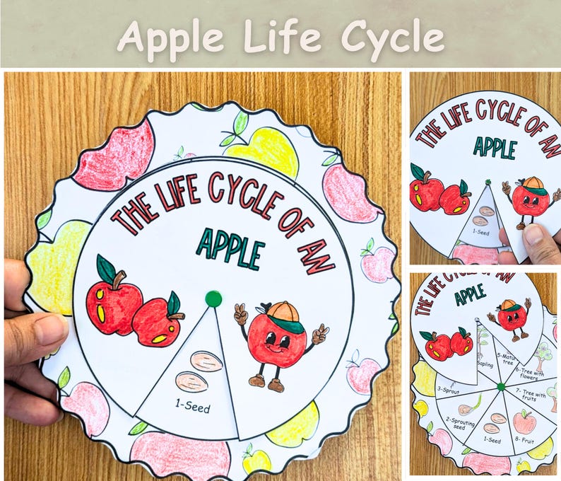 Life Cycle of an Apple Spinner Wheel Kids, Homeschool Science Unit ...