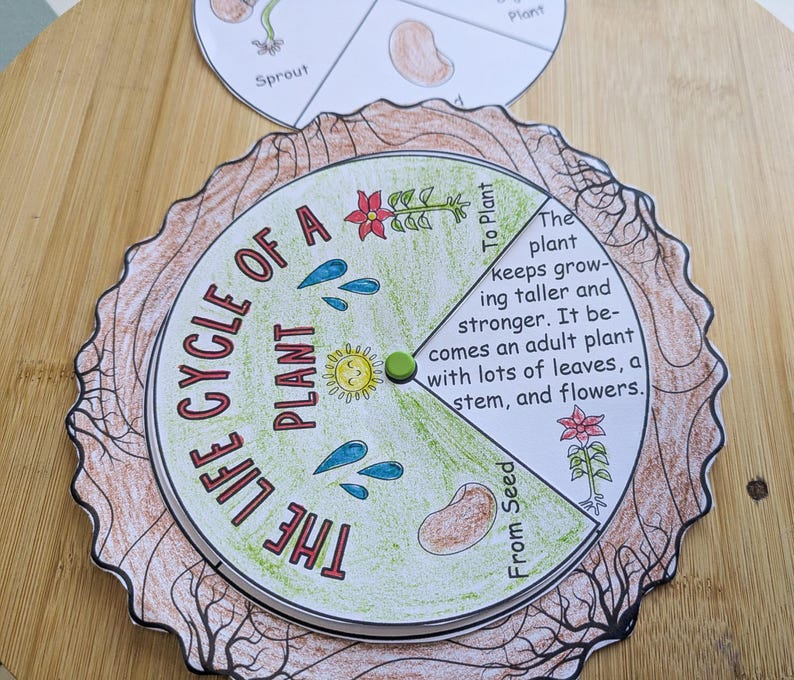 Life Cycle of a Plant, Homeschool Science Unit Activity, Sequencing ...
