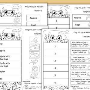 Frog Life Cycle Foldable Activity, Homeschool Science Unit Activity ...