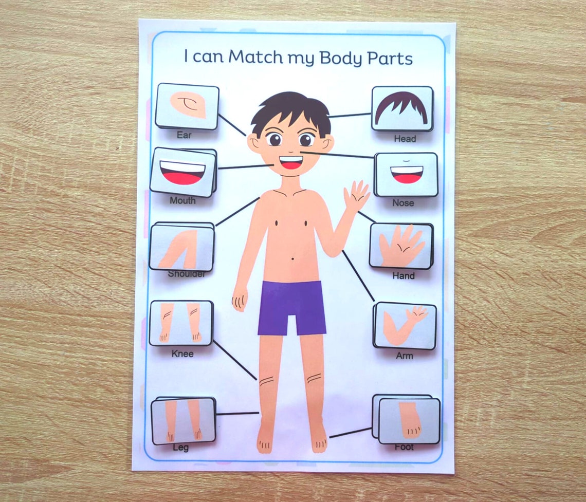 Body Parts Matching Activity for Toddlers Printable Busy Book - Etsy