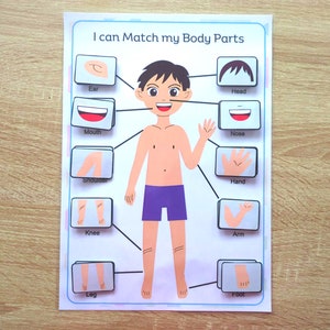 Body Parts Matching Activity for Toddlers, Printable Busy Book Page ...