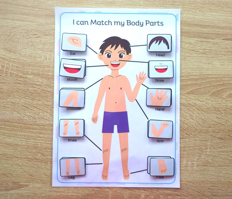 Body Parts Matching Activity for Toddlers, Printable Busy Book Page ...