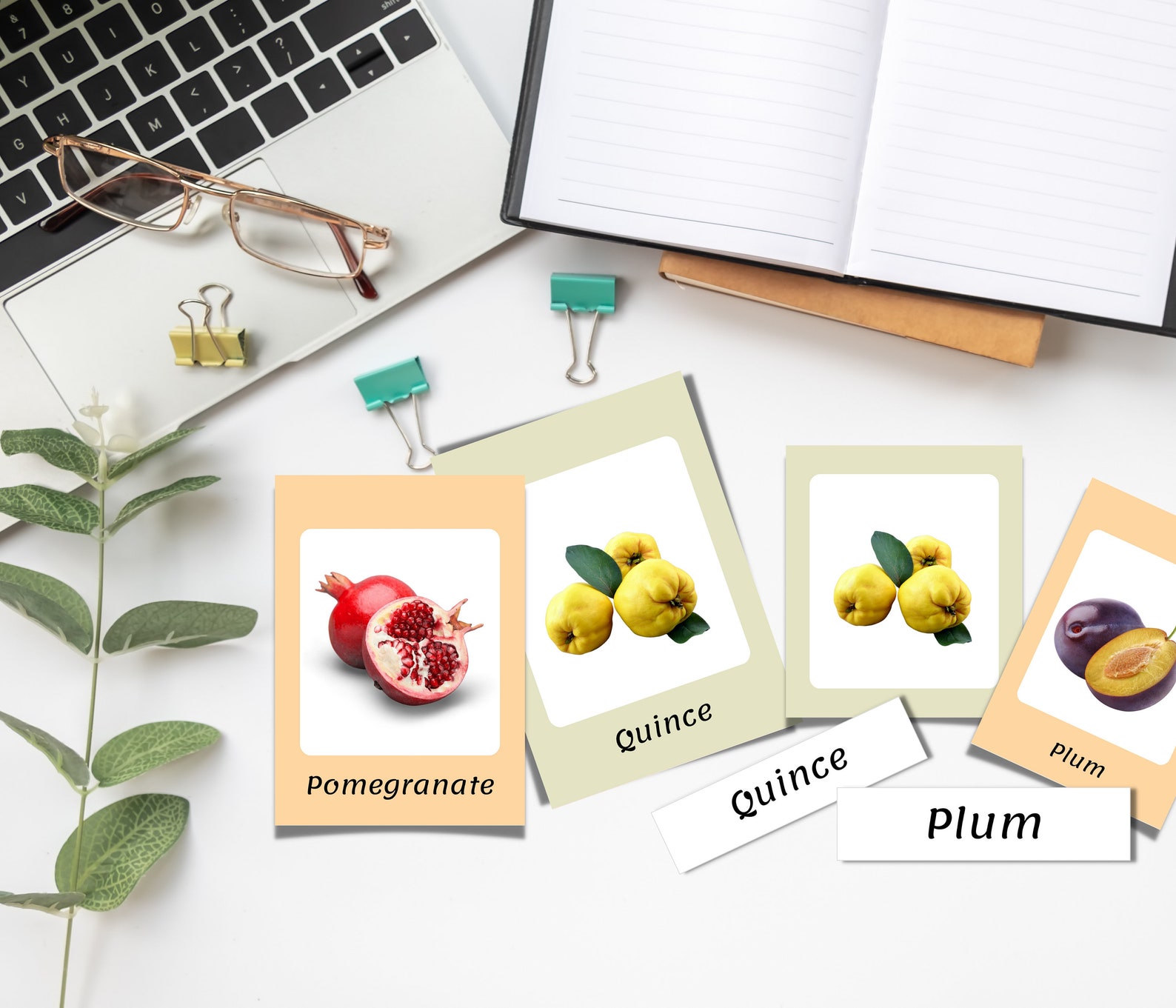 Fruit Flashcards for Kid, Montessori 3 Part Cards, Nomenclature Cards ...