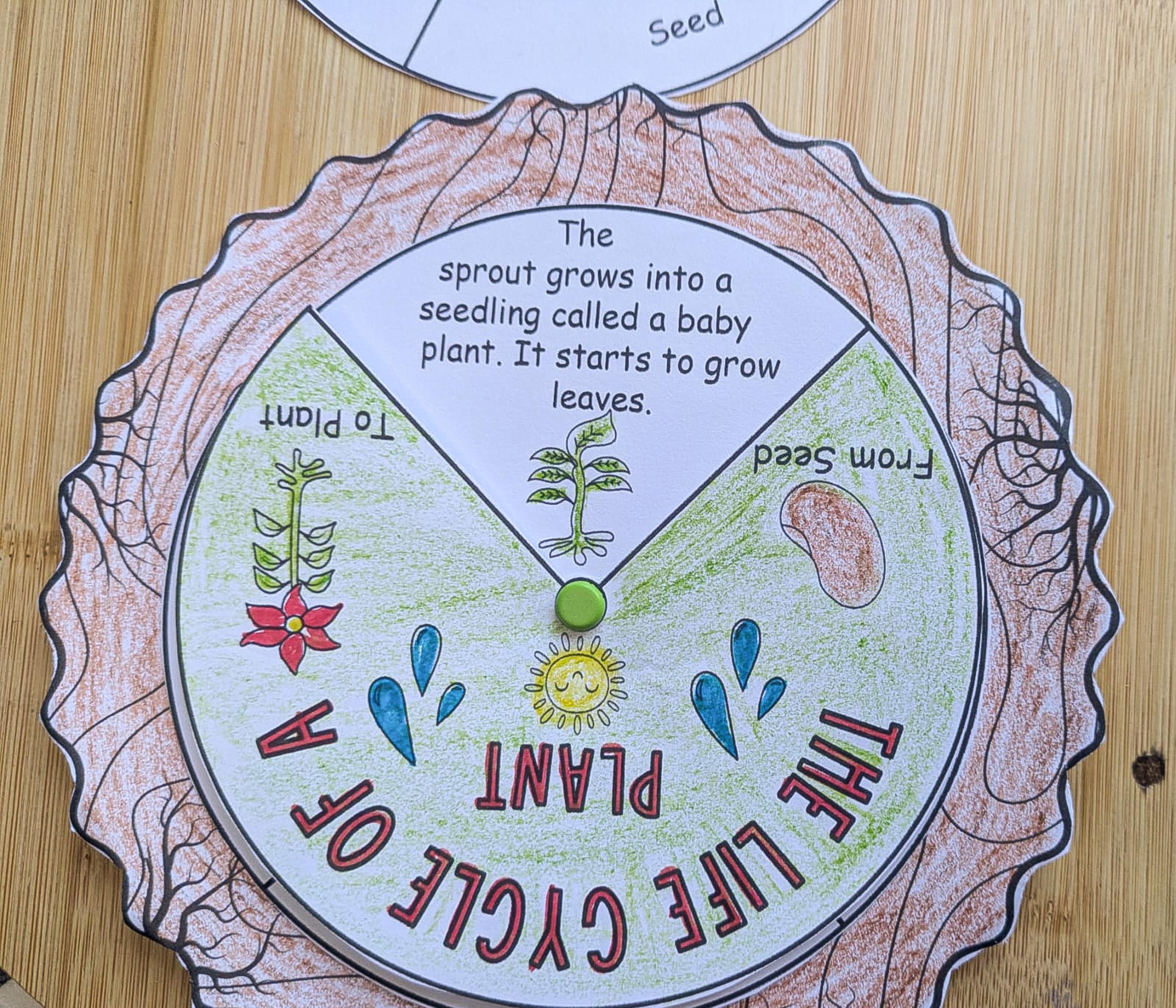 Life Cycle of a Plant, Homeschool Science Unit Activity, Sequencing ...