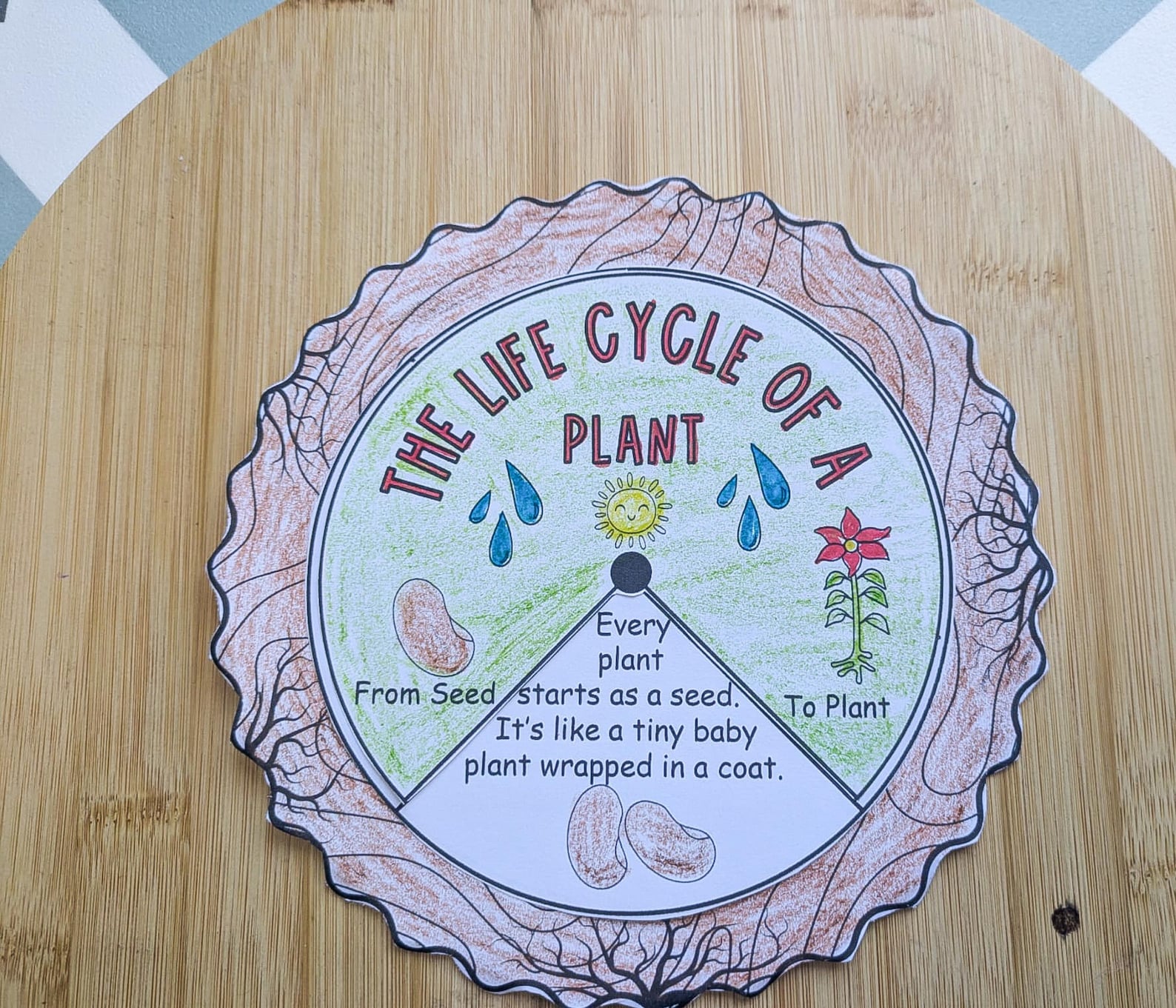 Life Cycle of a Plant, Homeschool Science Unit Activity, Sequencing ...