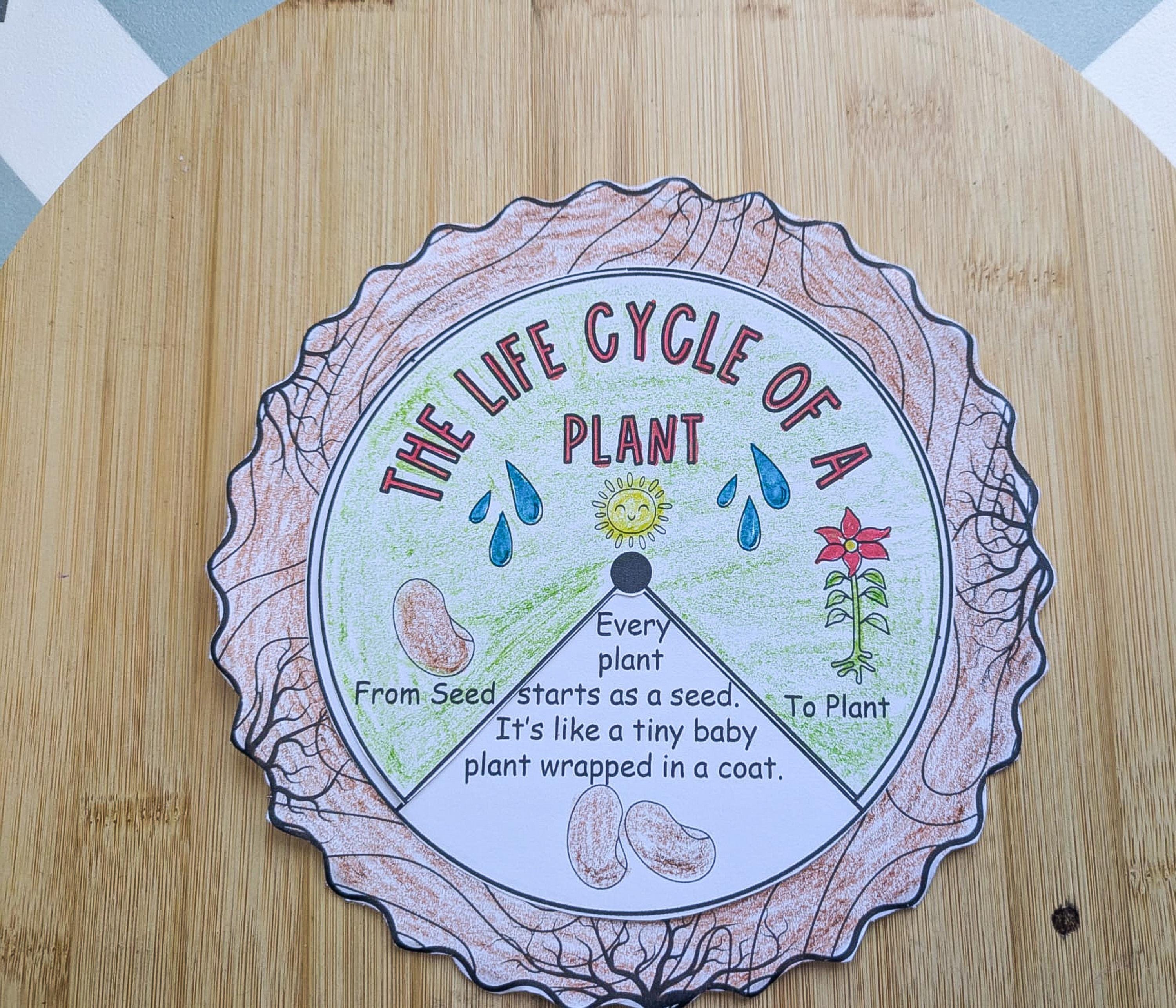 Life Cycle of a Plant, Homeschool Science Unit Activity, Sequencing ...
