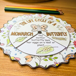 Life Cycle of a Monarch Butterfly, Homeschool Science Curriculum ...
