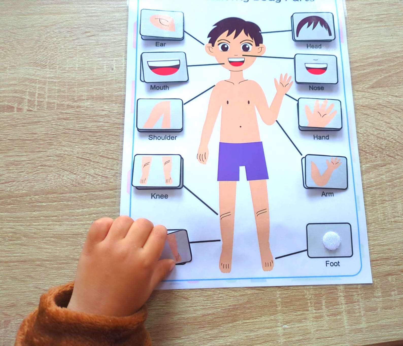 Body Parts Matching Activity for Toddlers, Printable Busy Book Page ...