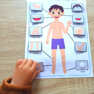 Body Parts Matching Activity for Toddlers, Printable Busy Book Page ...