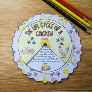Life Cycle of a Chicken Wheel, Homeschool Science Unit Study ...