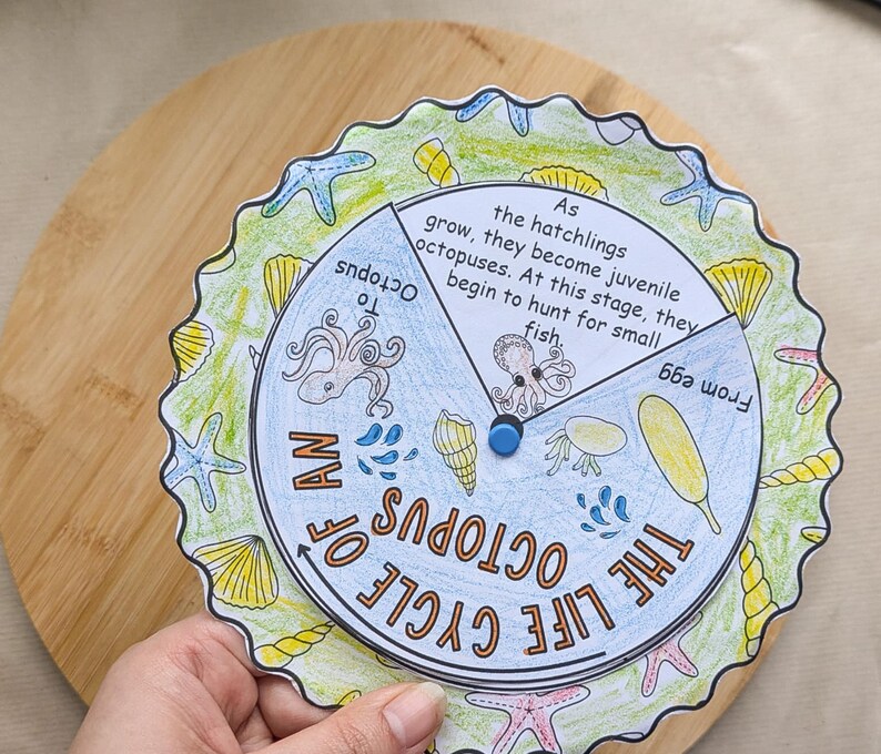 Life Cycle of an Octopus Wheel, Homeschool Science Unit Study ...