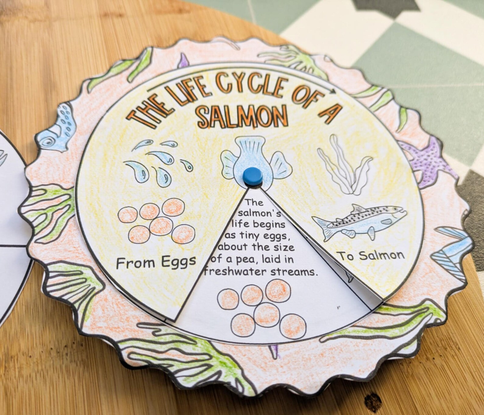 Ocean Animal Life Cycle Spinner Wheel, Homeschool Science Unit Activity ...