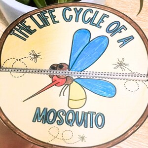 Life Cycle of a Mosquito Foldable Activity, Homeschool Science Unit ...