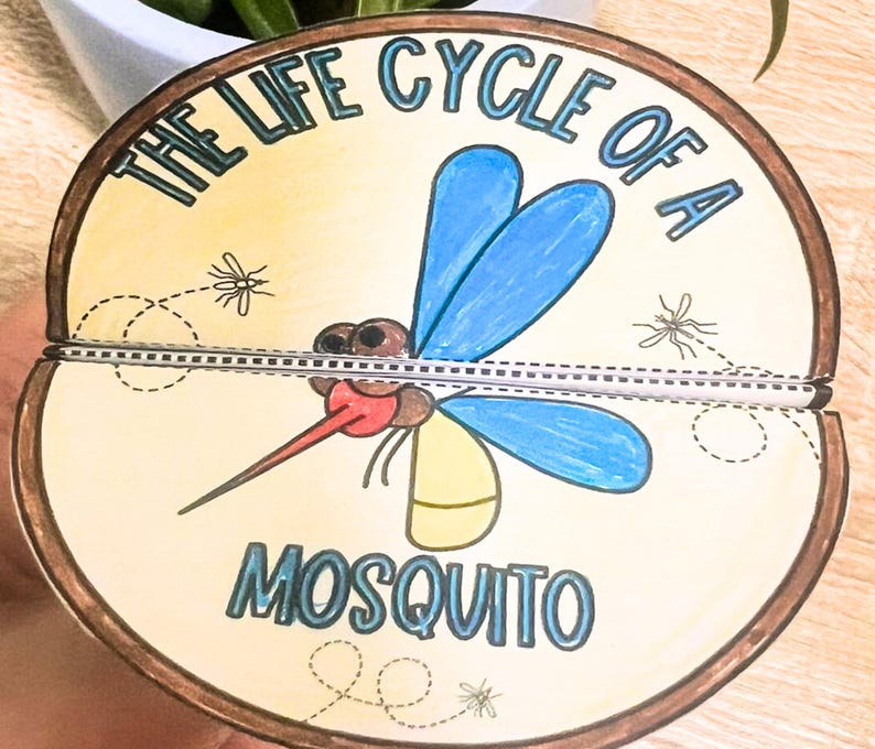 Life Cycle of a Mosquito Foldable Activity, Homeschool Science Unit ...