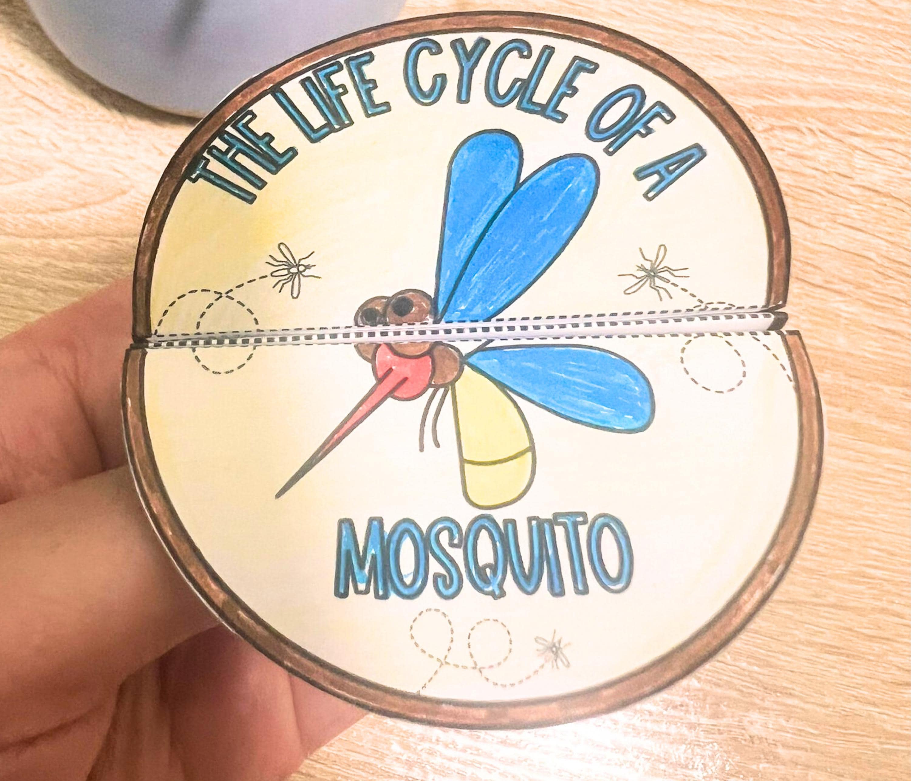 Life Cycle of a Mosquito Foldable Activity, Homeschool Science Unit ...