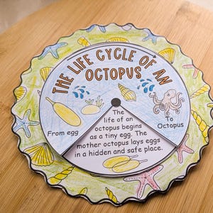 Life Cycle of an Octopus Wheel, Homeschool Science Unit Study ...