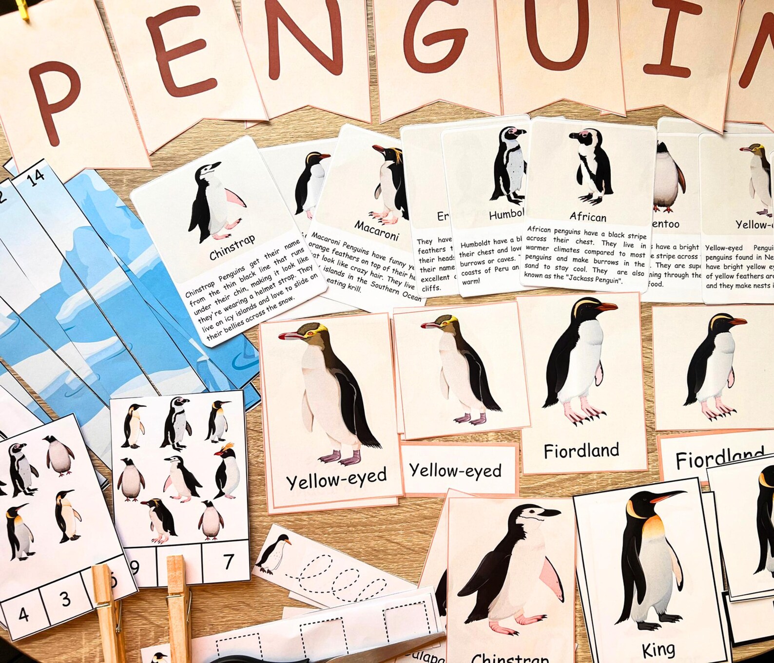 Penguin Unit Study, Life Cycle, Charlotte Mason Inspired Preschool ...