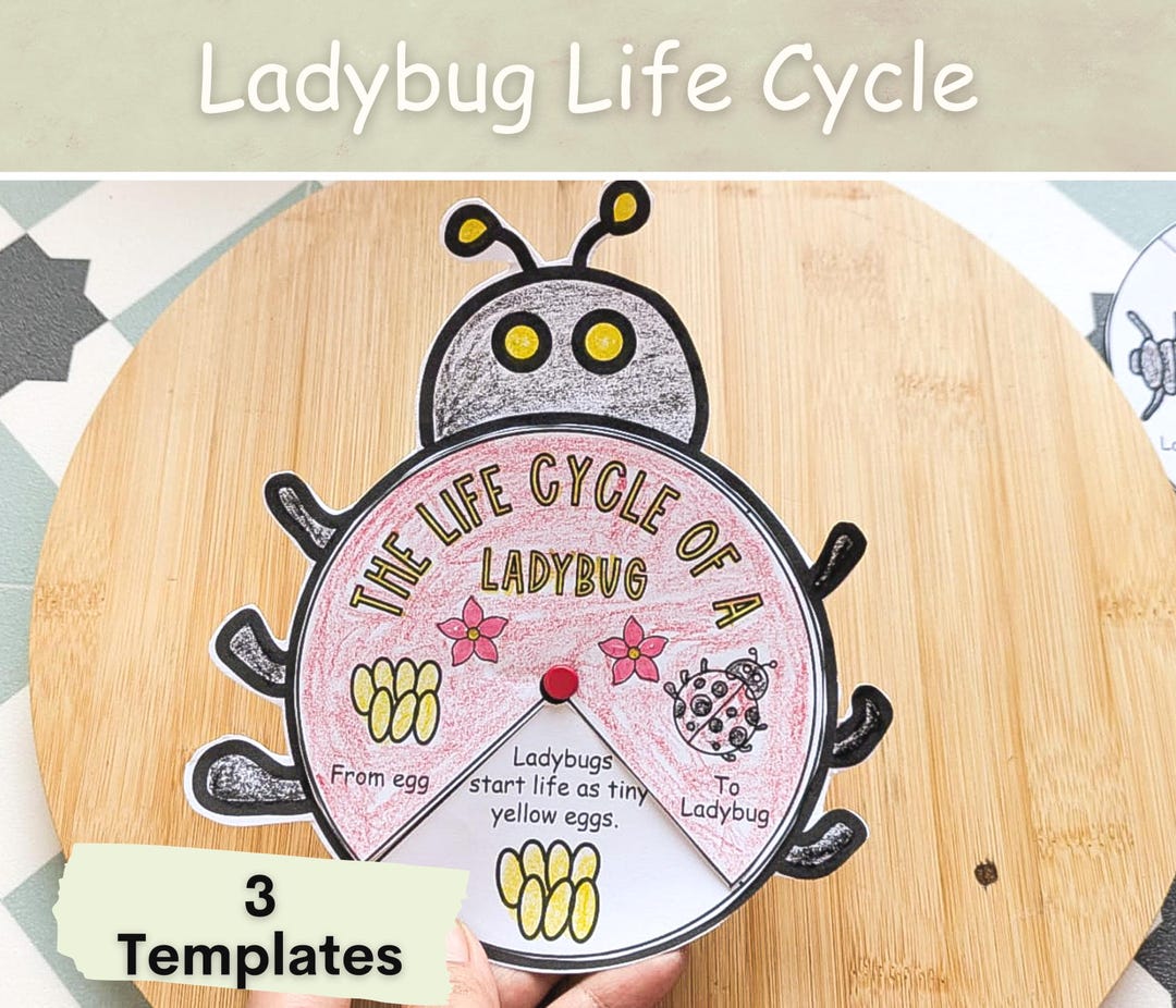 Life Cycle of a Ladybug Ladybird, Homeschool Science Curriculum ...
