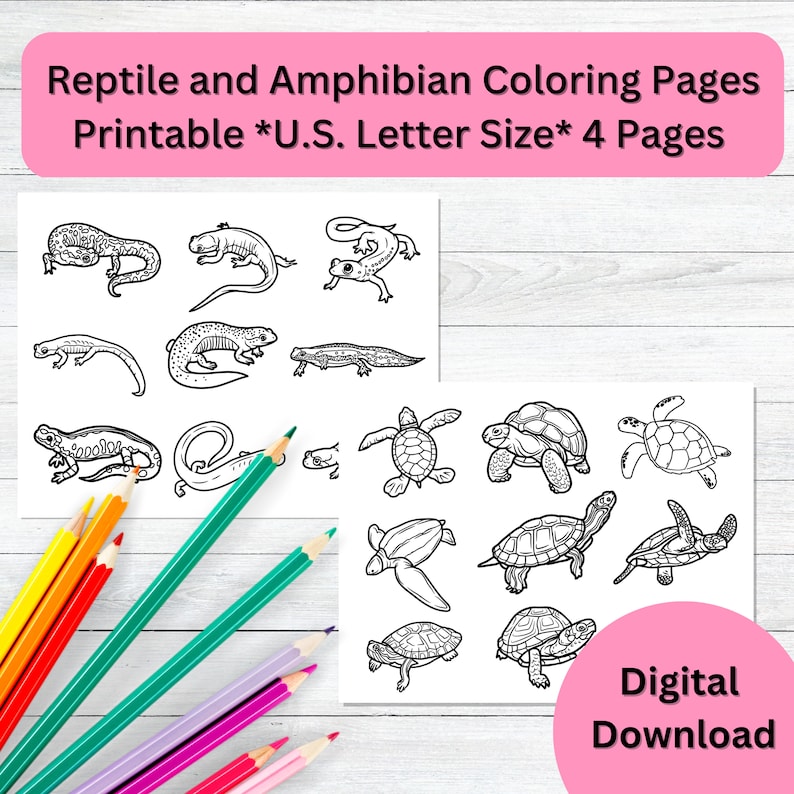 Cottagecore Coloring Pages, Amphibian Printables, Reptile Printables ...