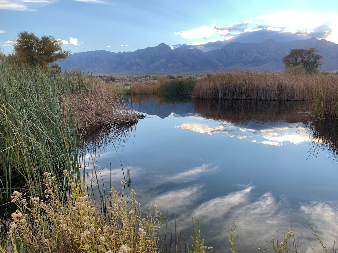 Reflection Pond - Etsy