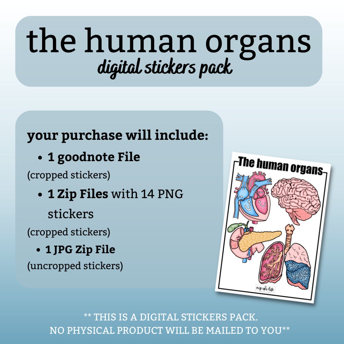 Biology Human Anatomy Stickers for Planning Studying Taking - Etsy