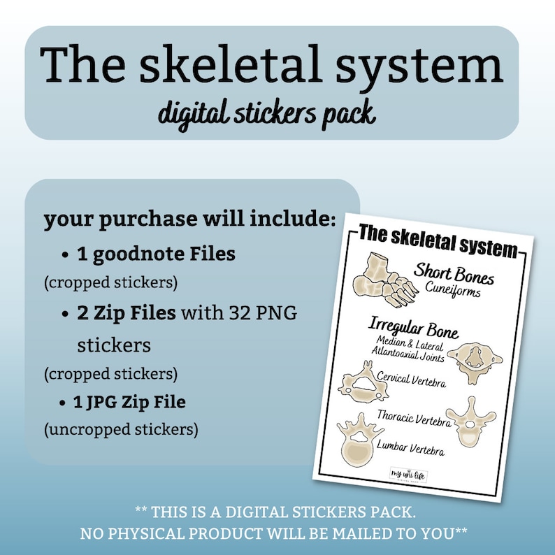 Biology Skeletal System Stickers for Planning, Studying, Taking Notes ...