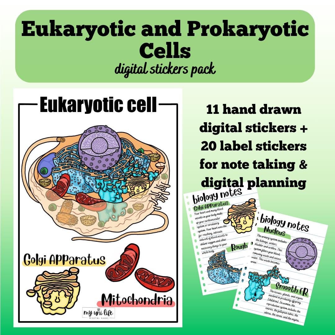 Biology Eukaryotic & Prokaryotic Cells Stickers for Planning, Studying ...