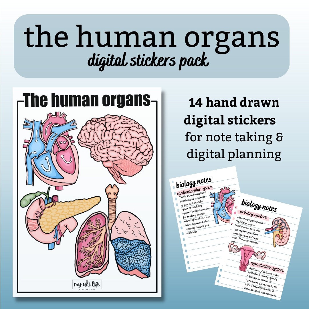 Biology Human Anatomy Stickers for Planning, Studying, Taking Notes ...